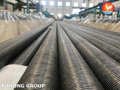 Cina Scambiatore di calore ASTM A179 incorporato per applicazioni industriali HT,ECT disponibile in vendita