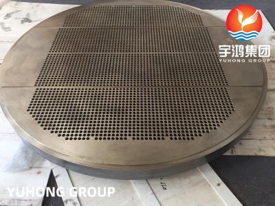 중국 열 교환기에 대한 튜브 시트 부동 및 고정 100% UT, 100% PT 판매용