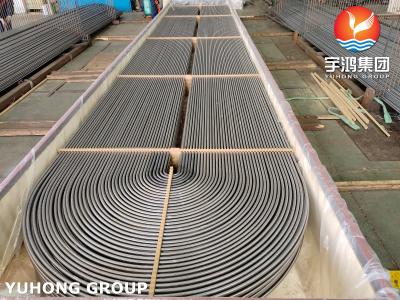 Cina Acciaio inossidabile senza cuciture TP304 U scambiatore di calore a piega e tubi di forno in vendita