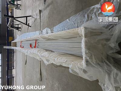 Cina Tubi in acciaio inossidabile senza cuciture 310H ASME SA213 per applicazioni HRSG in vendita