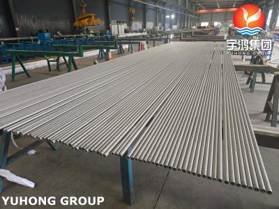 Cina Tubi in acciaio inossidabile senza cuciture 310H ASME SA213 per applicazioni HRSG in vendita