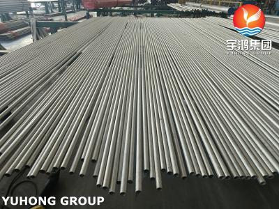 Cina Tubi in acciaio inossidabile senza cuciture 310H ASME SA213 per applicazioni HRSG in vendita