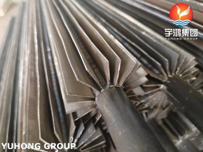 China Longitudinal Fin Tube ASTM A249 TP304 for Petrochemical Reactor Heating Jackets​ for sale