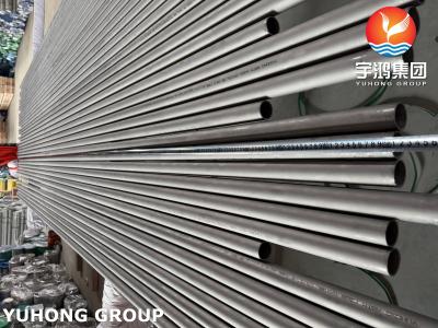 Китай ASTM A269 TP316L Бесшовная трубка из нержавеющей стали, холоднотянутая, маринованная, отжиженная трубка продается