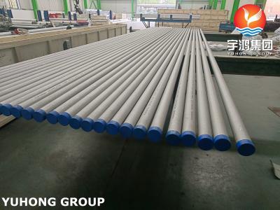 China B407 N08810 Incoloy 800H Nickel Alloy Steel Seamless Tube End Type Plain End For Superheaters And Furnace for sale