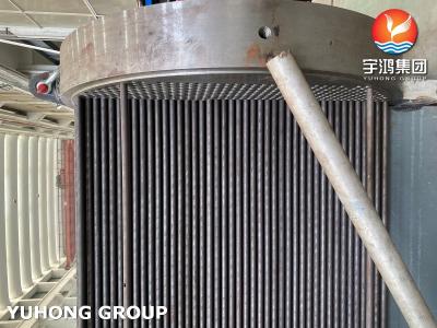 Cina Scambiatore di calore TEMA Classe R: Fascio tubiero in acciaio al carbonio senza saldatura, 1.5×Prova idraulica secondo ASME Sec VIII in vendita