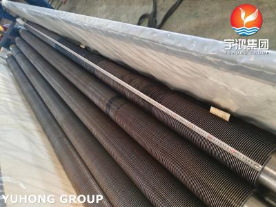 China ASME SA312 TP321H High Frequency Welded Fin Tube For Heat Exchanger for sale