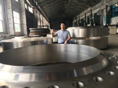 Κίνα Σφυρηλατημένο κομμάτι FVC, HB RTJ (στάση καρυδιών), ASME sa-182 GR F321H, για την εφαρμογή χημικής βιομηχανίας προς πώληση