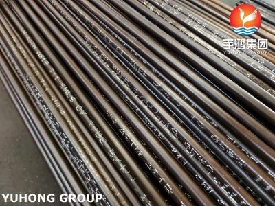 China ASME SA213 T11 Alloy Steel Seamless Tube for Boiler Heat Exchanger Equipment for sale