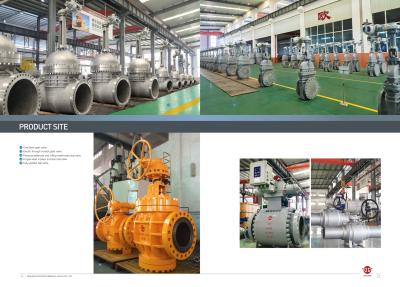 China Trunnion Mounted Class 150 to 2500  CS SS AS Duplex Stainless  API 6D Ball Valve for sale
