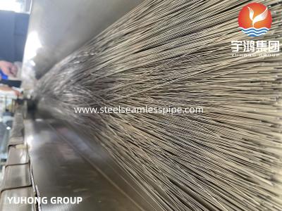 Cina Tubo capillare di precisione, ricotto brillante, tubo senza saldatura in acciaio inossidabile, TP304/TP316L in vendita