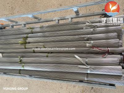 Cina Tubo capillare di precisione, ricotto brillante, tubo senza saldatura in acciaio inossidabile, TP304/TP316L in vendita