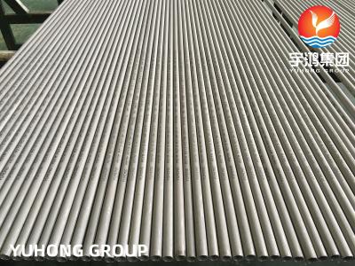 중국 ASTM A213 / ASME SA213 TP316L 스테인레스 강 인발관 열 교환기 튜브 판매용
