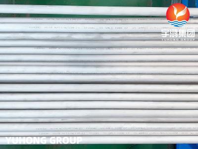 China ASTM A213 TP304L Stainless Steel Seamless Boiler Tube, NDE ECT Available for sale