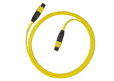中国 4コア、6core の挿入物のコネクターが付いている 8core FTTH SM 繊維のパッチ・コード 販売のため