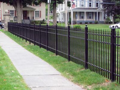 China Decorative iron fence/ Wrought iron fence/ Ornamental fence/ steel fence for home and garden decoration Europe style for sale