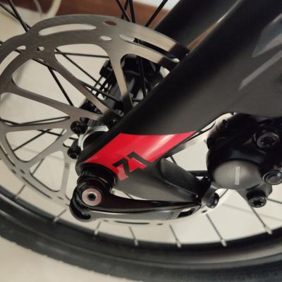 Cina Fibra ISO/CE materiale del carbonio di Sava Carbon Folding Bike TORAY T800 in vendita