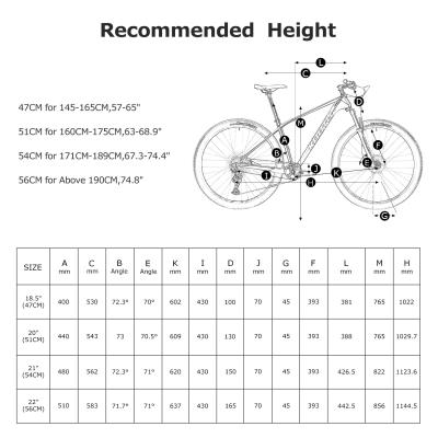 Cina SAVA Gravel Bike With Hydraulic frena la lunghezza 1.4m attraverso Axle Wheels System in vendita