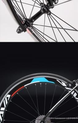 Cina 18 bici della fibra del carbonio di velocità T800, SAVA Warwind 3,0 700c che corrono bici in vendita