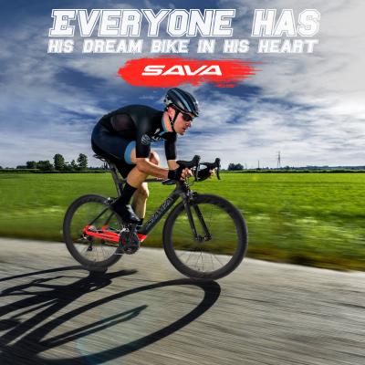 Cina Sava Full Carbon Road Bike con Shiamno ULTEGRA R8020 Groupset in vendita