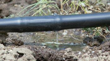 Cina Linea di produzione rotonda del tubo dell'irrigazione a goccia a un solo strato con la bobina automatica in vendita