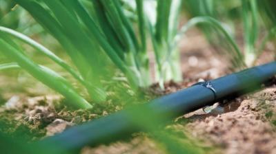 China 3 camadas de linha de produção redonda 40m/min da tubulação da irrigação de gotejamento com o inversor da frequência de ABB à venda