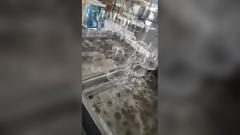 Customized wine glass products