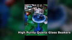 High Purity Quartz Glass Beaker for Lab Research