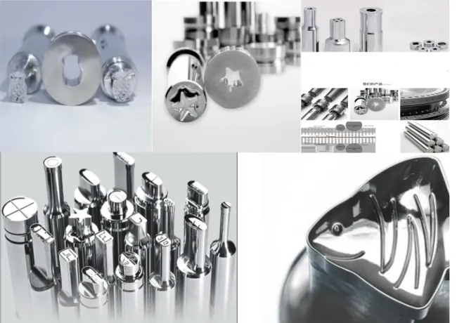 Automatic Lubrication Hig Speed Tablet Press Muti Taps Tooling Press