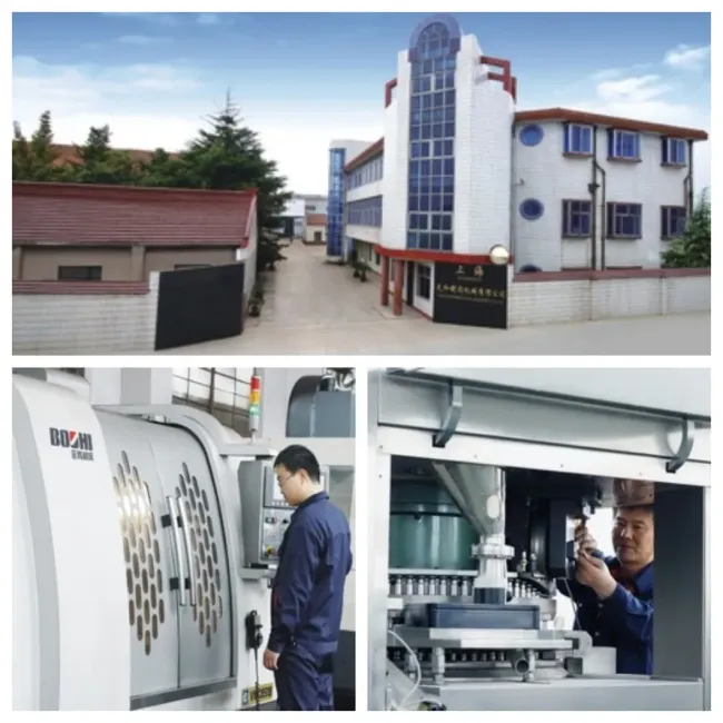 Automatic Lubrication Hig Speed Tablet Press Muti Taps Tooling Press