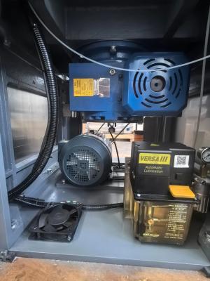 China Máquina de prensa de tabletas de alta capacidad 244800 PCS/H con 5,5 kW de potencia y servicio postventa en línea de 24 horas en venta