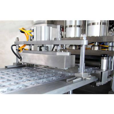 Cina TIANHE Tablet / Capsule Aluminio PVC / Aluminio Aluminio Blister Packing Machine in vendita