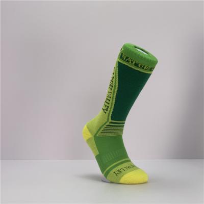 China Calças de atletismo compridas Antiderrapante Confortável Calça desportiva elegante com 50000 quantidade à venda