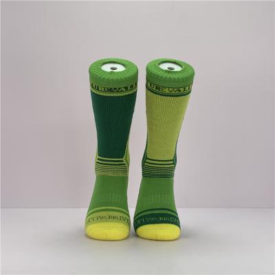 China Calças de atletismo compridas Antiderrapante Confortável Calça desportiva elegante com 50000 quantidade à venda
