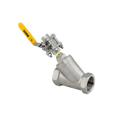 Cina Filtro in acciaio inossidabile 800PSI SS 304 NPT BSP con estremità filettata femmina tipo Y in vendita