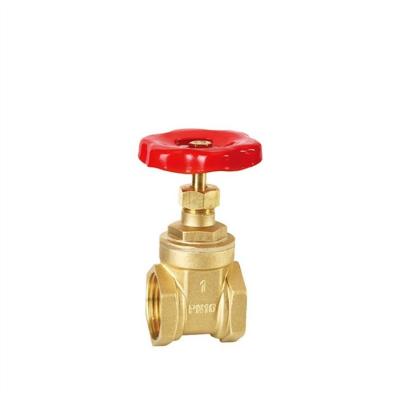 중국 1 " PN10 NPT 말 여성 놋쇠 문짝 밸브 물 / 석유 / 가스 시스템 판매용