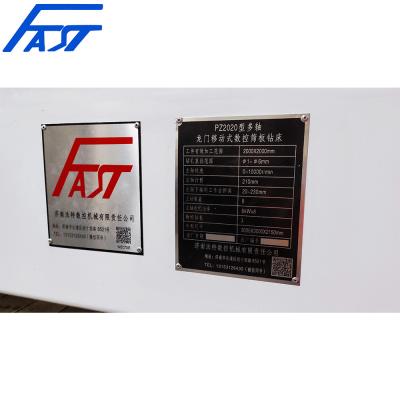 China Automatic PZS2020 3030 CNC Sieve Drilling Machine For Plate Steel for sale