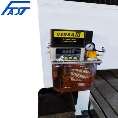 China Automatic PZS2020 3030 CNC Sieve Drilling Machine For Plate Steel for sale