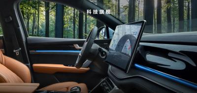 Cina Performance benchmark: potenza ibrida con autonomia di 121 km, lussuosa trazione anteriore BYD SUV Tang DMI in vendita