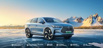 Cina Performance benchmark: potenza ibrida con autonomia di 121 km, lussuosa trazione anteriore BYD SUV Tang DMI in vendita