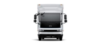 Cina BYD camion leggero elettrico puro T5 in vendita