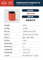 Quality BYD Lithium-ion Battery for Electric Bicycle Model 48V24Ah for sale