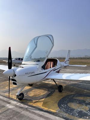 Cina Nuova versione Aeroplano di lusso Aeroplano civile Modello civile per gli appassionati Dedicato in vendita