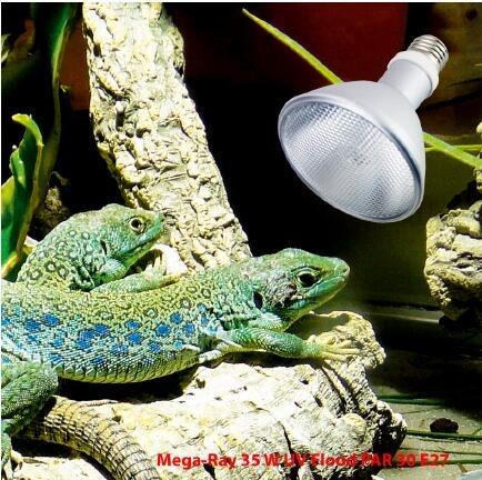 PAR38 70W 100W 150W High UVB Wide Beam Lamp HQI Bulb light for reptiles