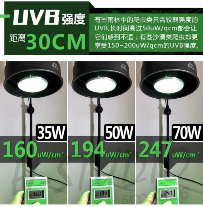 PAR38 70W 100W 150W High UVB Wide Beam Lamp HQI Bulb light for reptiles