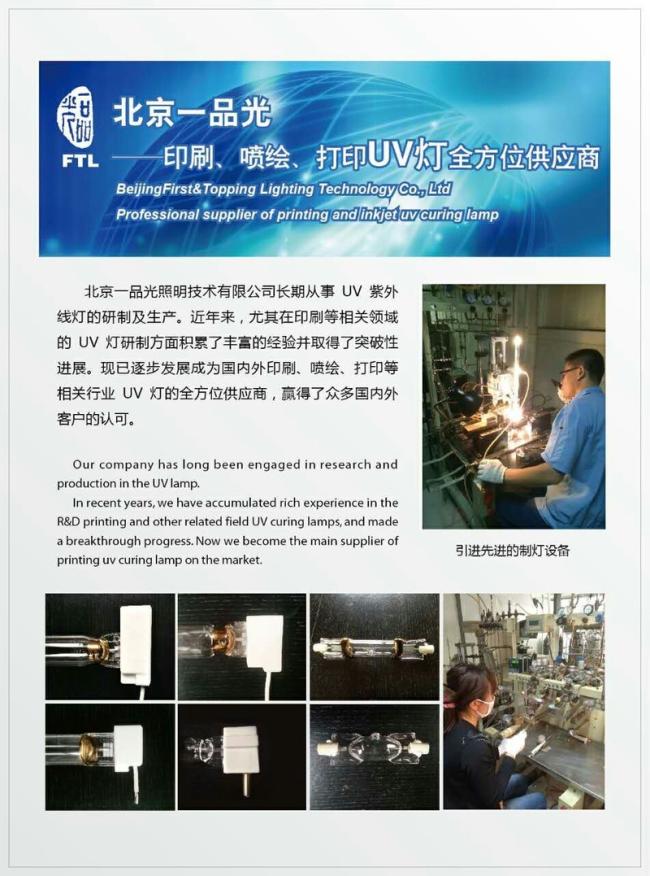Factory cheap price 1KW 220V 230mm UV Lamp High quality Led light for 1000W Portable hand held UV Machine