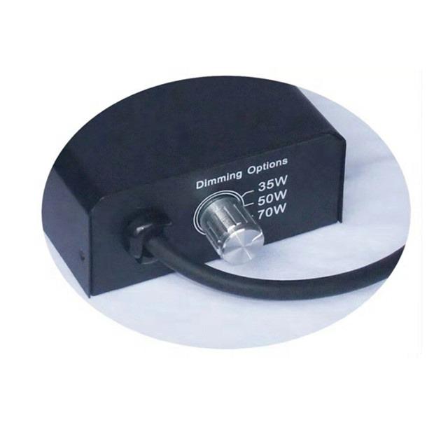 35W 50W 70W 110V-220V dimmable multi-function Electronic Ballast for HID MH Ceramic reptile Lamp Quartz Light