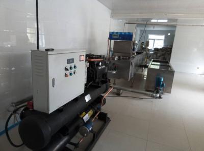 Cina 500-30000L/H Impianto di produzione di gelato personalizzato Completa linea di lavorazione di gelato morbido/duro Macchina di gelato con PLC in vendita