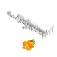 China All Automatic Customizable Orange Juice Machine New Juice Processing Machine Complete Fruit Processing Machine Tangerine Pulp for sale