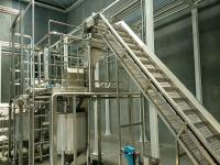China High Quality Customized Mango Juice Processing Machine Mangga/Mango Pulp Production Plant Mango Processing Line Sus304/316 for sale